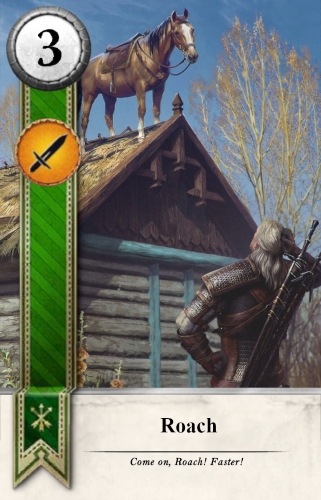 Gwent Roach Card For Each Faction + Rules Cards