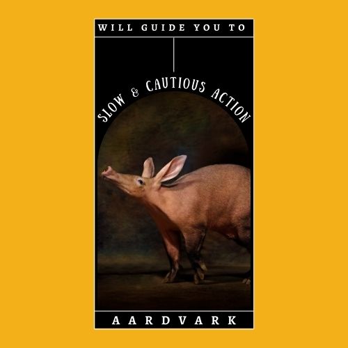 Animal Guide Oracle Cards