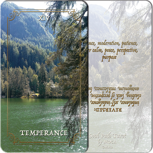 Soul Path Tarot By MOCA Cards