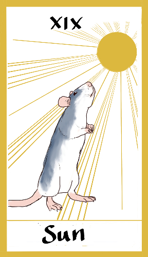 Rat Art Tarot Cards
