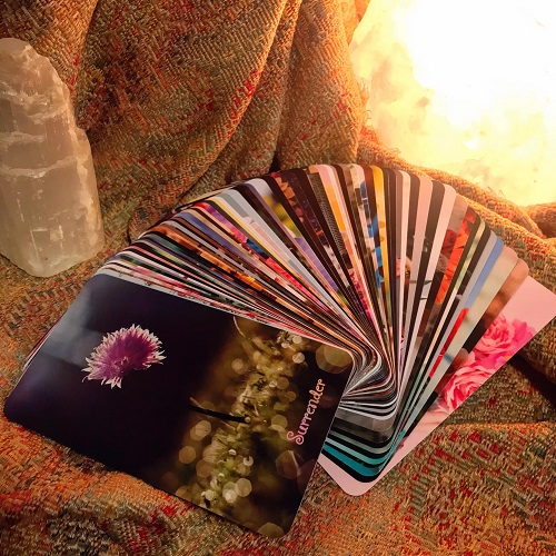 Flower Oracle Of The Beloveds Cards